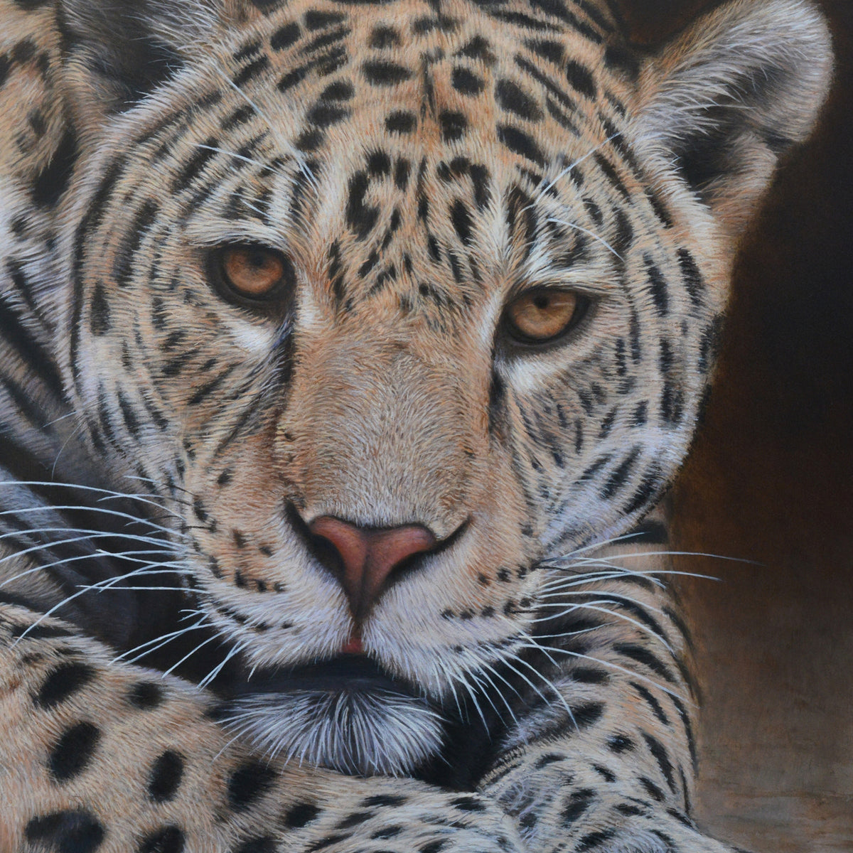 "Goldie", new Jaguar painting – SAM DOLMAN ART