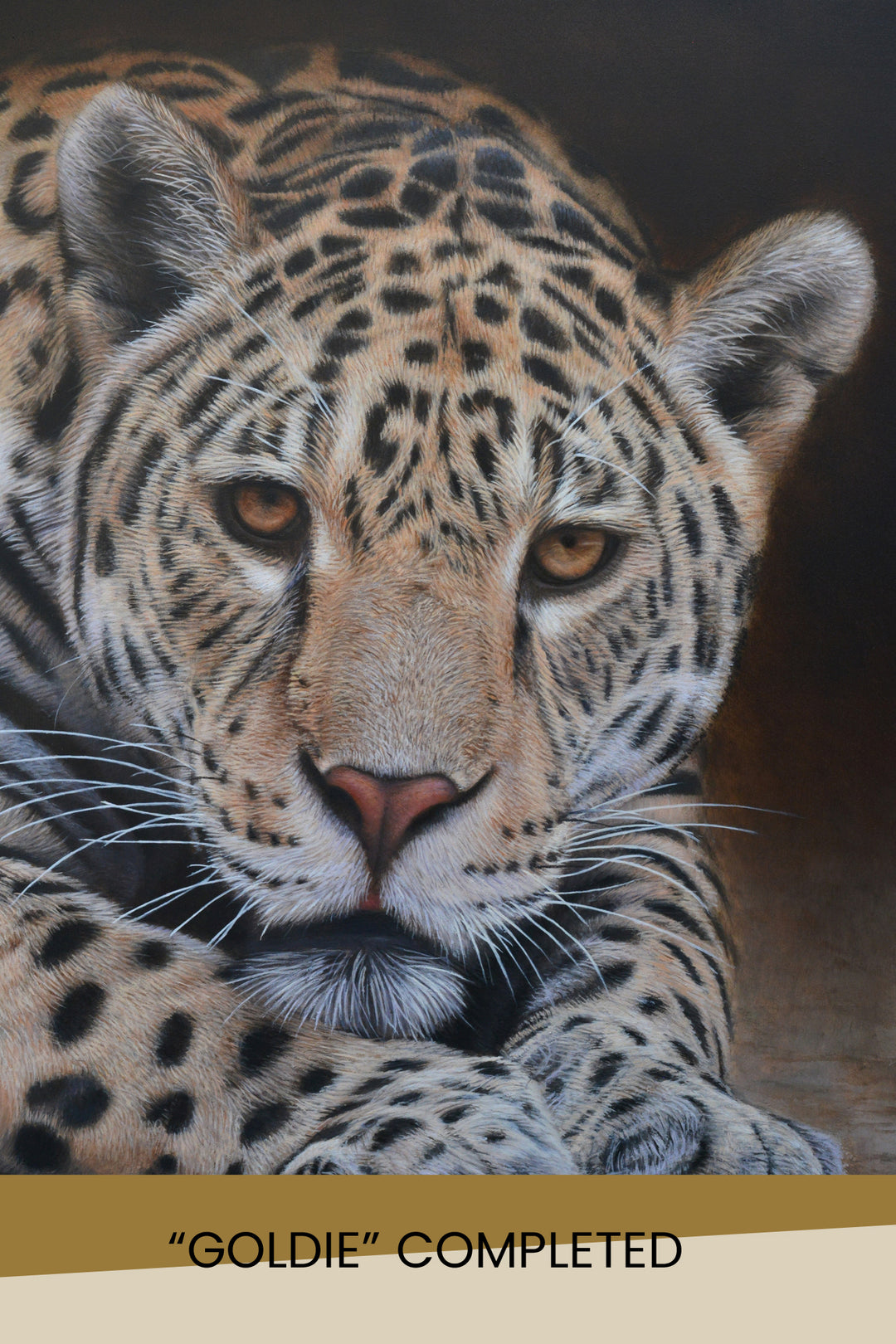 "Goldie", new Jaguar painting – SAM DOLMAN ART
