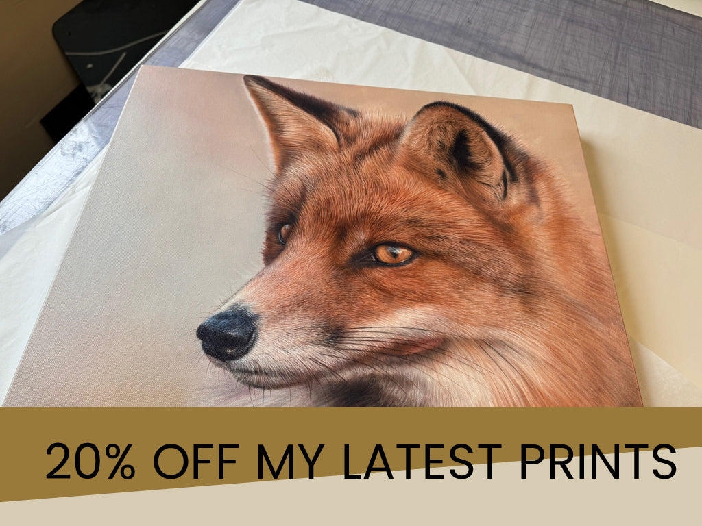 20% off all prints – SAM DOLMAN ART