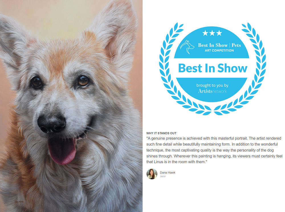 DOGS – SAM DOLMAN ART